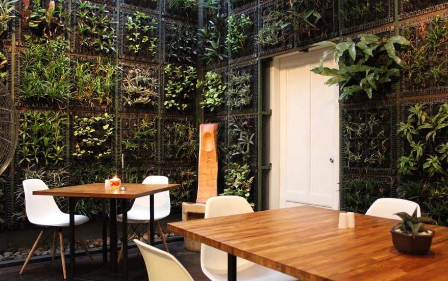 Maple Terrace Uptown Dallas